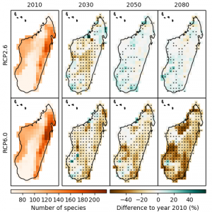 Madagascar: Ecosystems – Agrica
