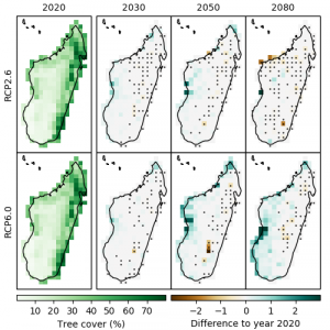 Madagascar: Ecosystems – Agrica